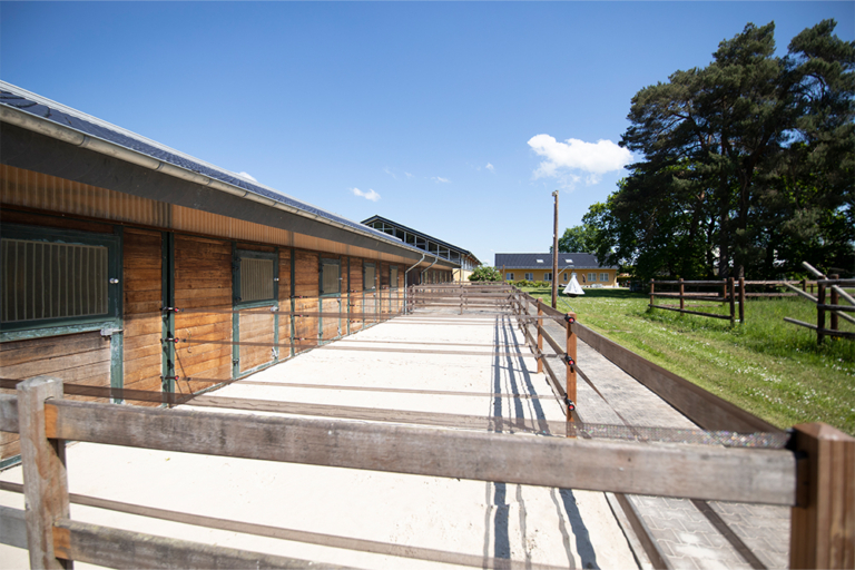 Unsere Anlage - Dreilindenhof